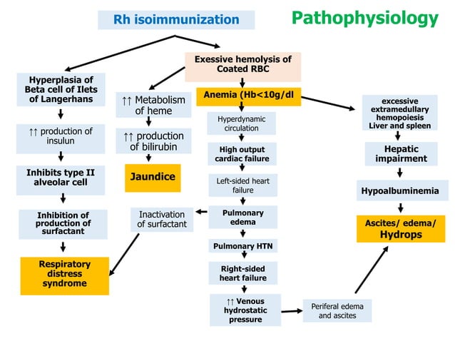 approach to Rh Isoimmunization Maternal and neonatal aspects | Dr ...