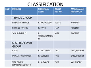 APPROACH TO RICKETTSIAL INFECTIONS-2.pptx