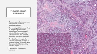 Approach to Salivary Gland and its tumors .pptx