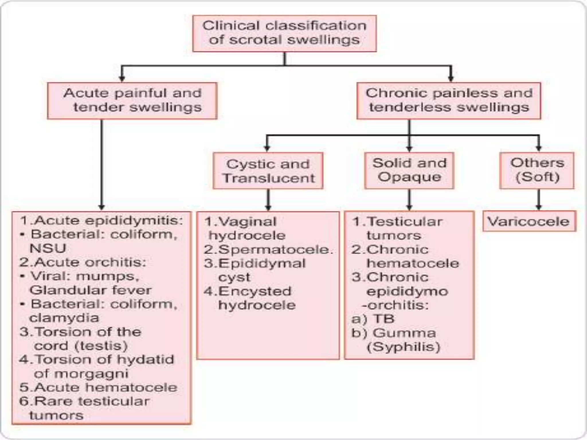 Approach to Scrotal Swelling.pptx