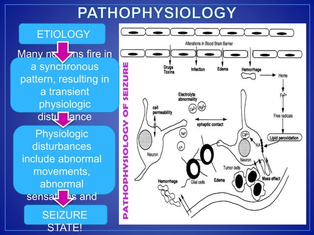 APPROACH TO SEIZURE CME | PPT
