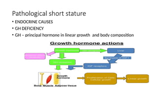 APPROACH TO SHORT STATURE. Managementpptx | PPTX
