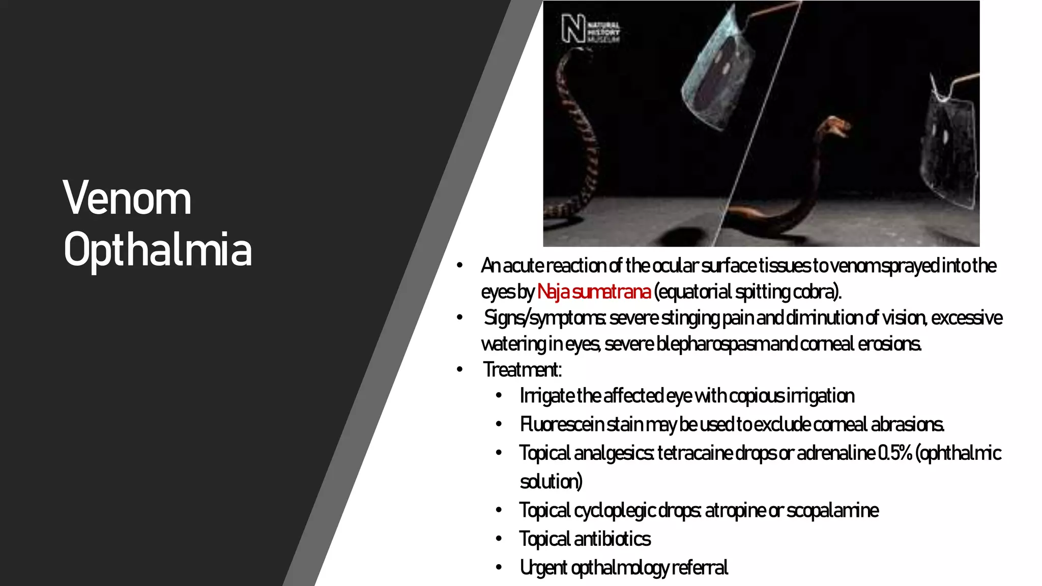 APPROACH TO SNAKEBITE.pptx
