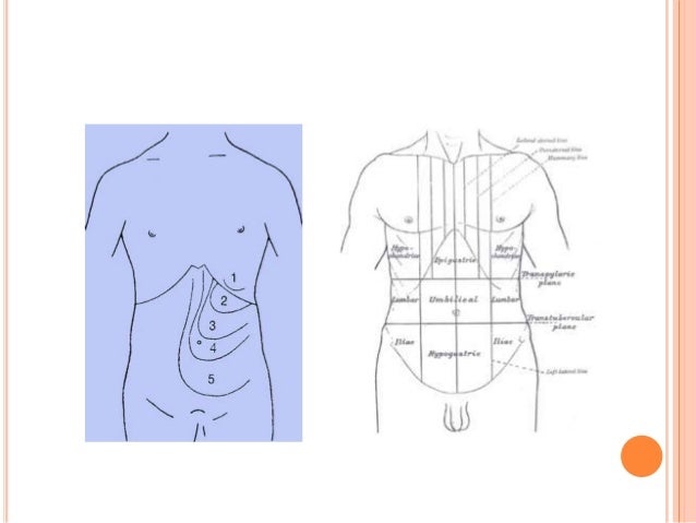 Approach to splenomegaly
