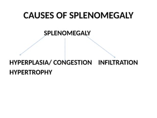 APPROACH TO SPLENOMEGALY. Dusngoncddl mkrscpptx | PPT