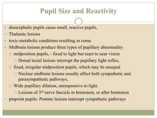 Approach to stupor and coma | PPTX