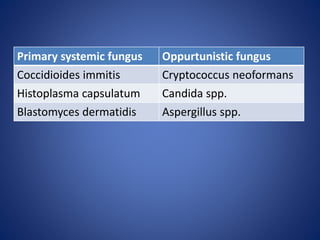APPROACH TO SYSTEMIC MYCOSIS.pptx