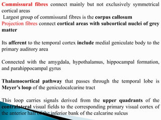 Approach to temporal lobe anatomy,function,epilepsy MRI finding | PPTX