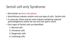 Approach to Testicular Biopsy.........pptx