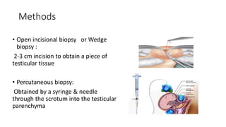 Approach to Testicular Biopsy.........pptx