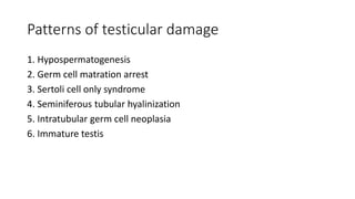 Approach to Testicular Biopsy.........pptx