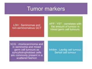 Approach to testicular tumors | PPTX