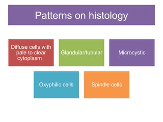 Approach to testicular tumors | PPTX