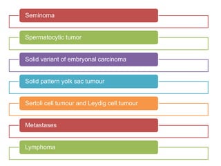 Approach to testicular tumors | PPTX