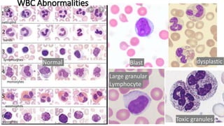 Approach_to_the_diagnosis_and_classification[1].pptx