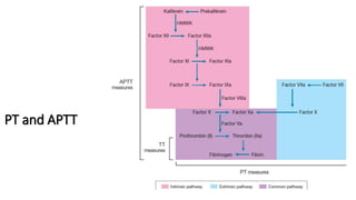 Approach_to_the_diagnosis_and_classification[1].pptx