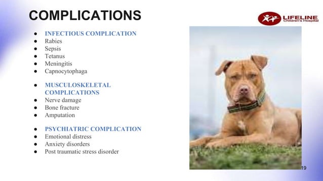 APPROACH TO THE MANAGMENT OF ANIMAL BITE IN CHILDREN (SNAKE AND DOG BITE).pptx | Injuries ...
