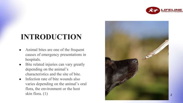 APPROACH TO THE MANAGMENT OF ANIMAL BITE IN CHILDREN (SNAKE AND DOG ...