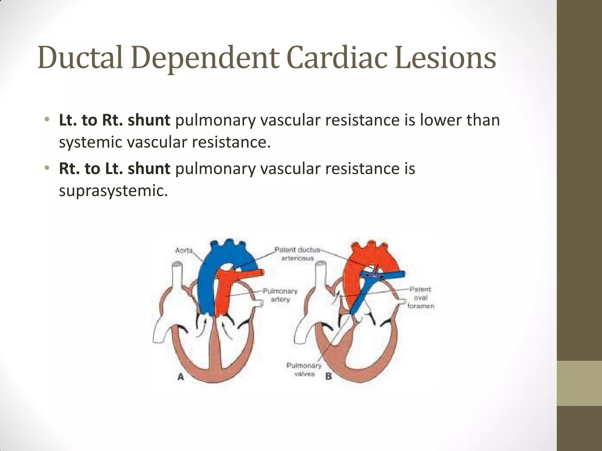 Approach to the neonatal cyanosis | PDF