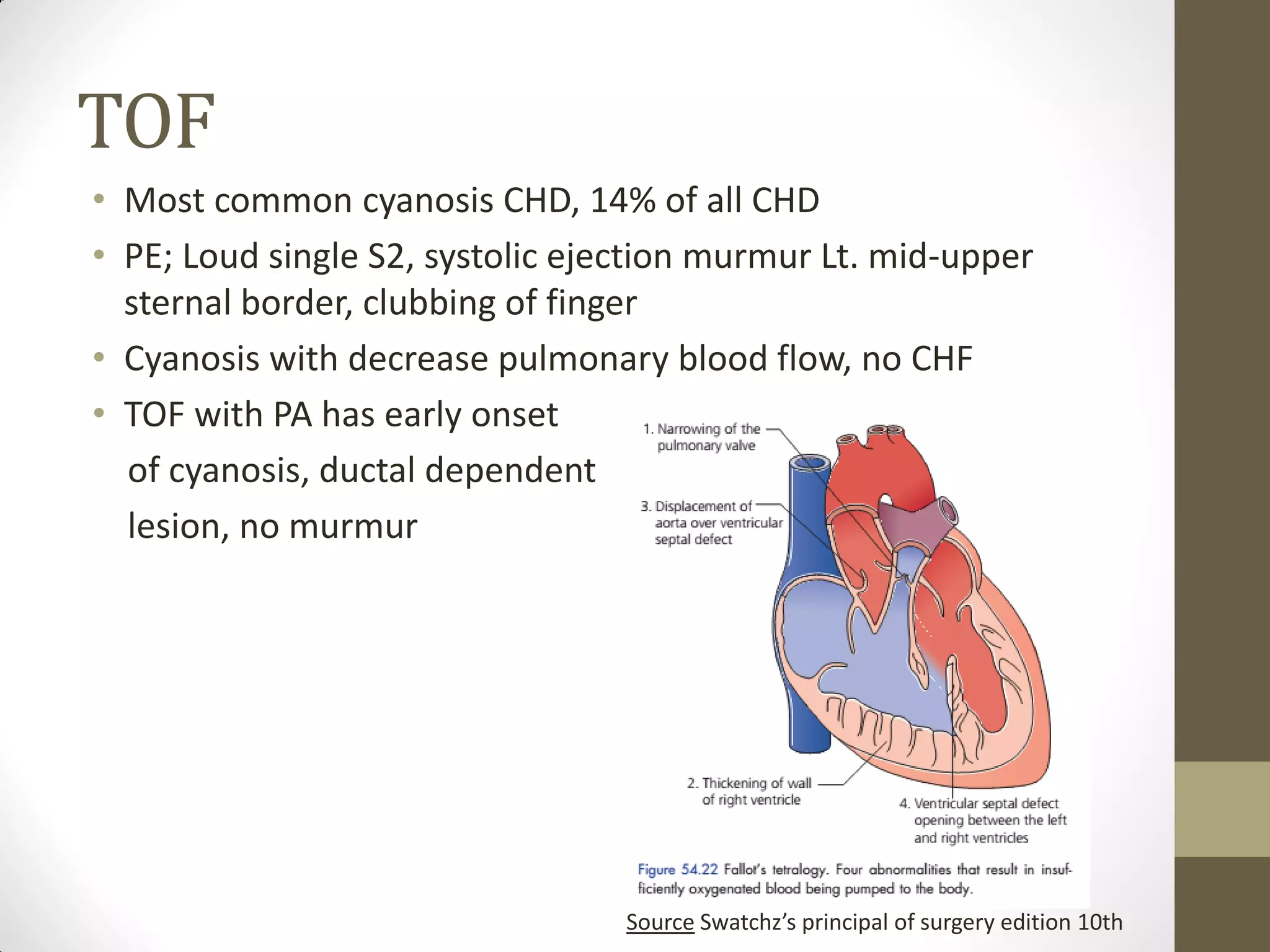 Approach to the neonatal cyanosis | PDF