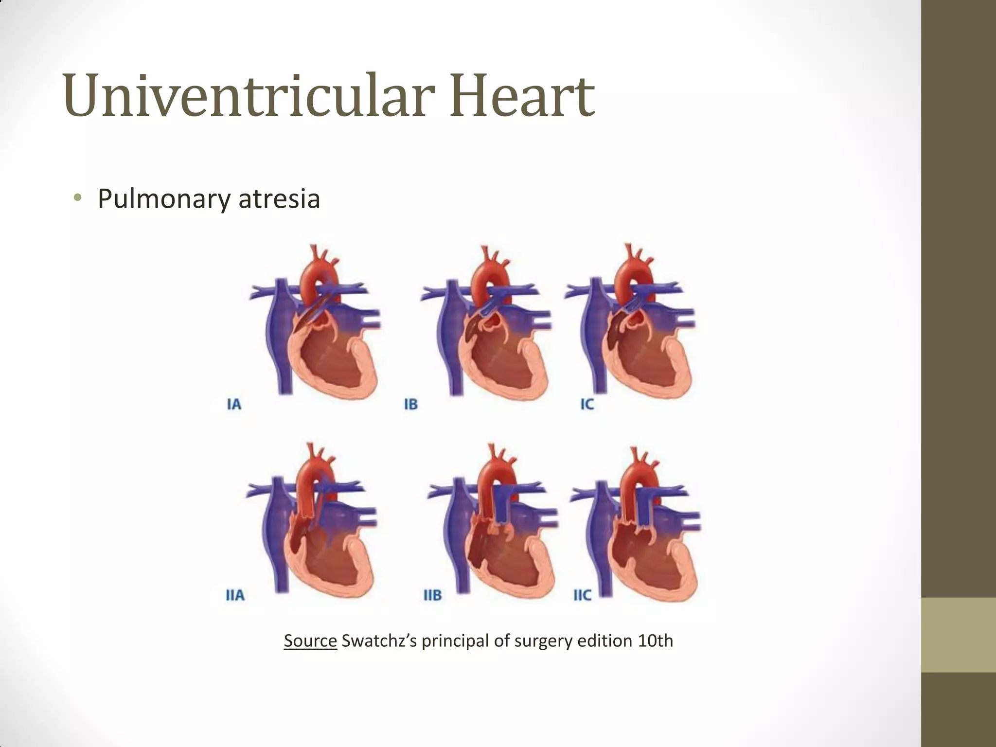 Approach to the neonatal cyanosis | PDF