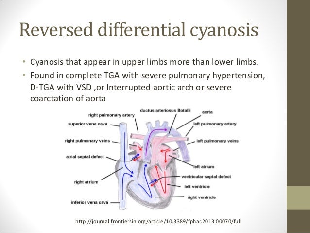 APRIL 5th BOARD REVIEW Jeopardy Template