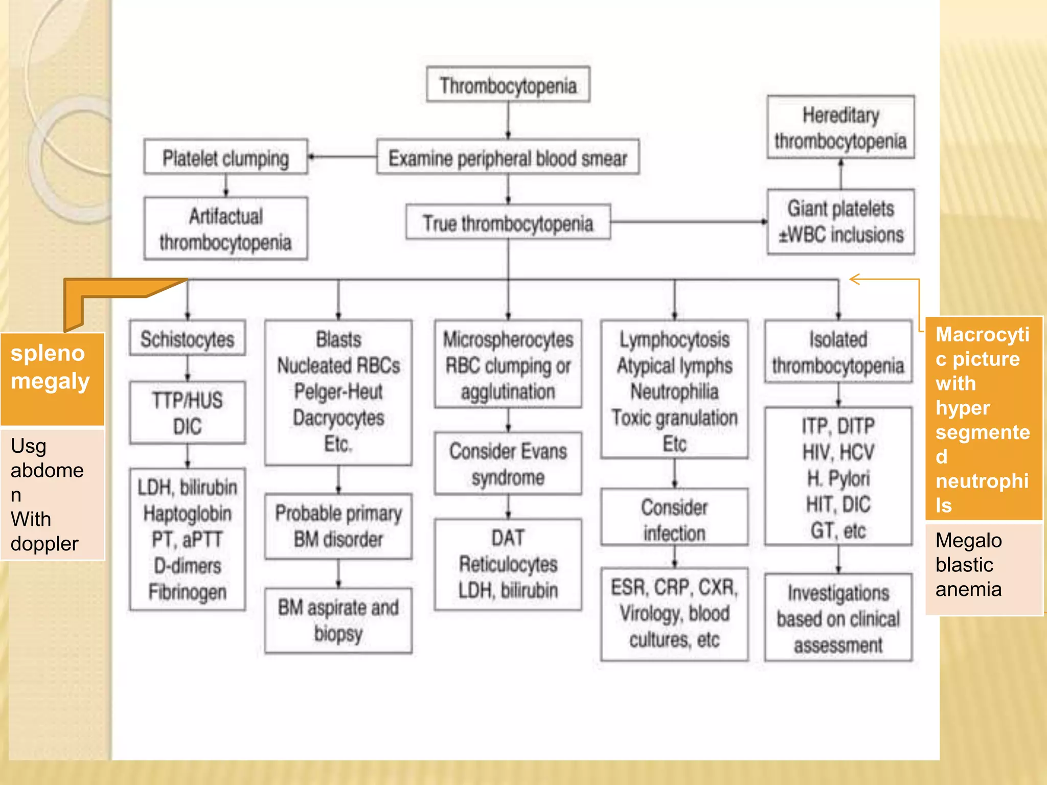 Approach To Thrombocytopenia Pptx