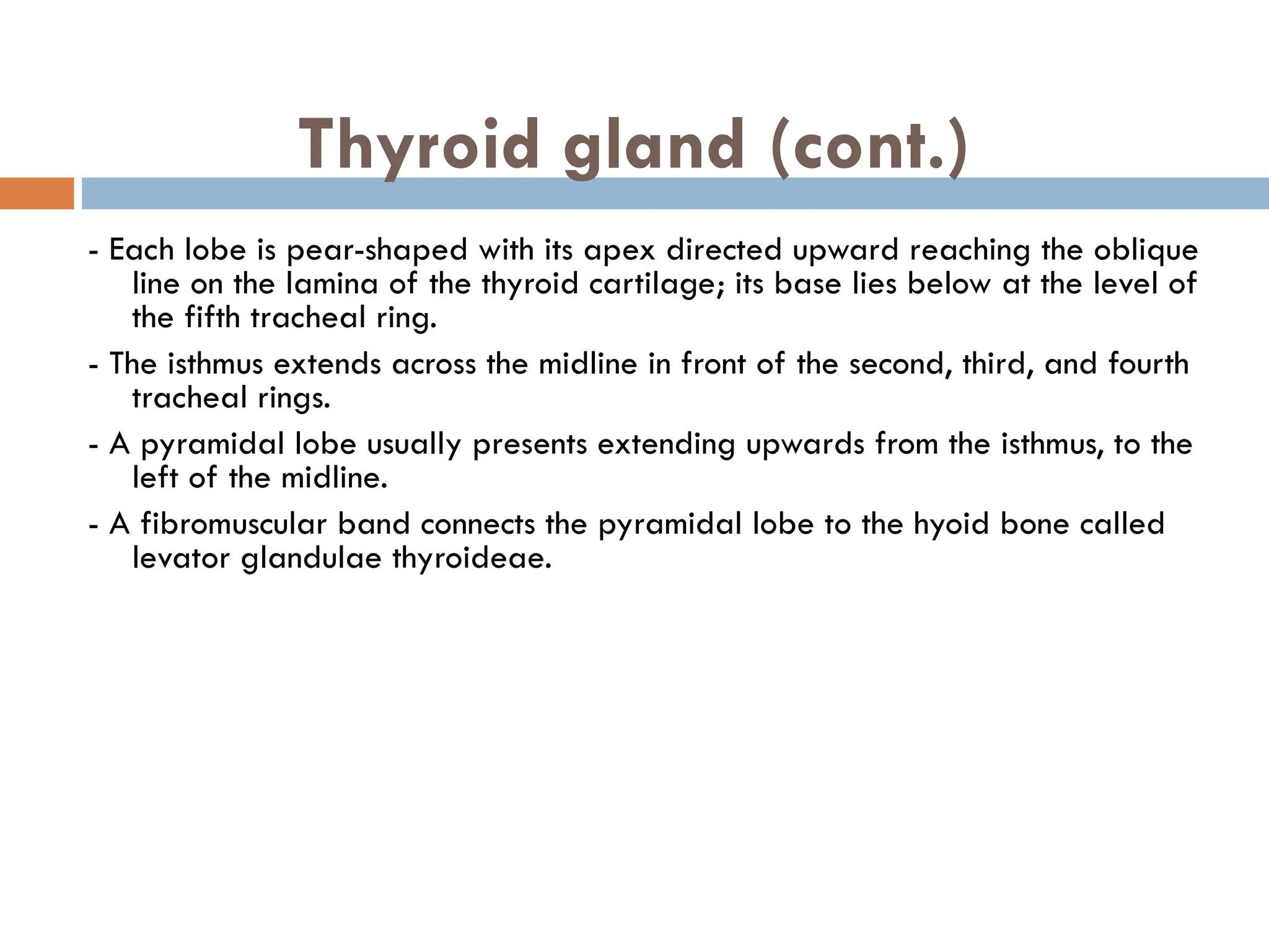 approach to thyroid for medical students .ppt