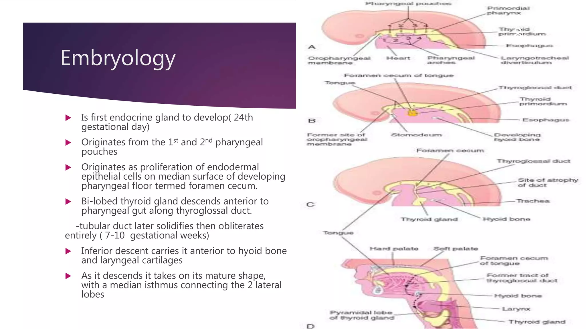 Approach to thyroid mass | PPTX