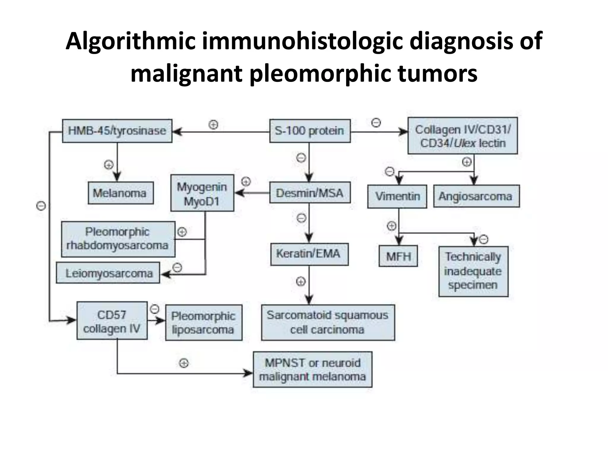 Approach to undifferentiated tumors | PPTX