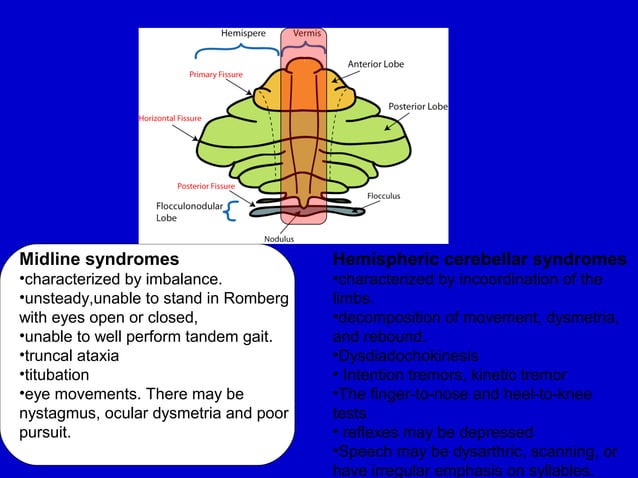 Approach to unsteadiness and gait disorders | PPT