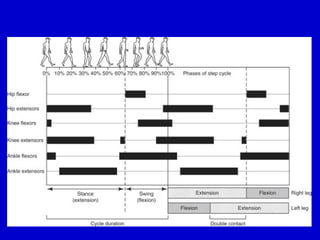 Approach to unsteadiness and gait disorders | PPT