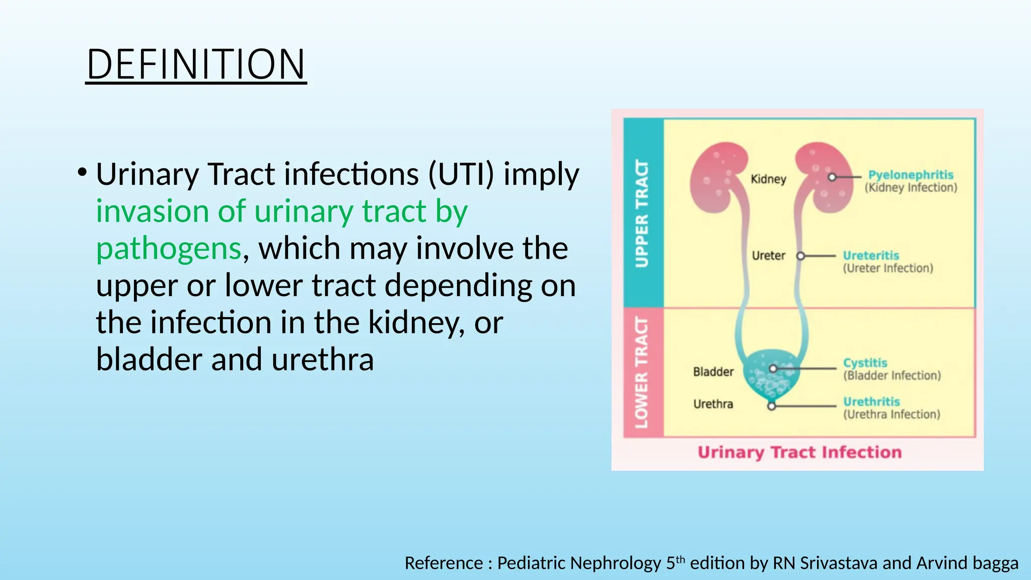 Approach to Urinary tract infections.pptx