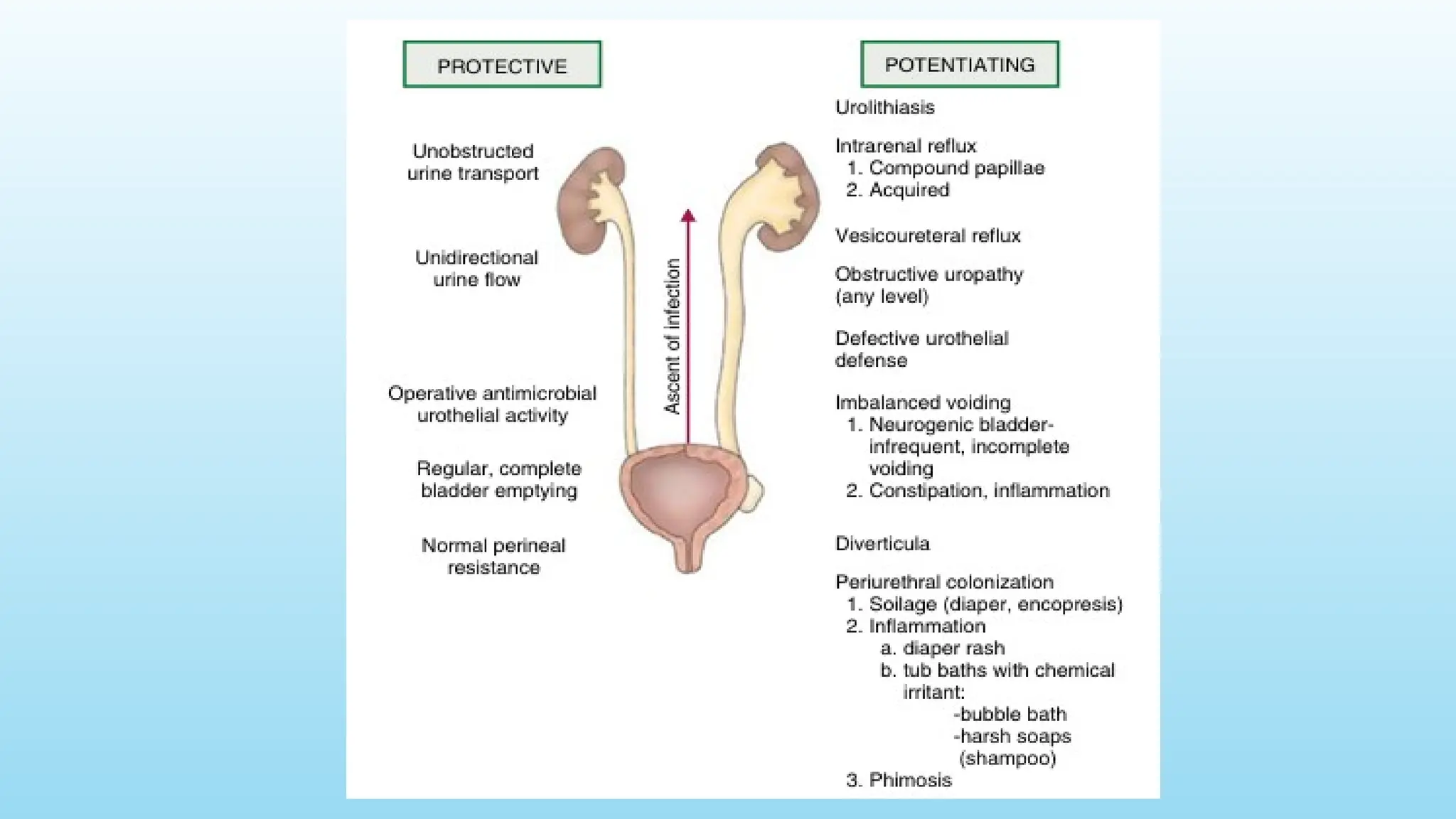 Approach to Urinary tract infections.pptx