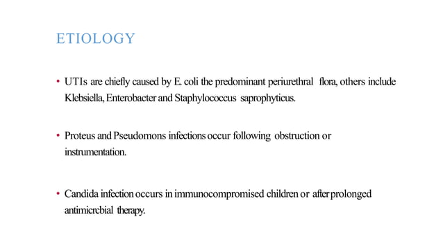 APPROACH TO UTI.pptx education pediatrics | PPT