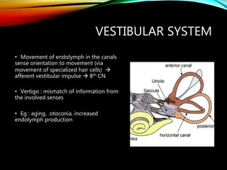 approach to vertigo.pptx