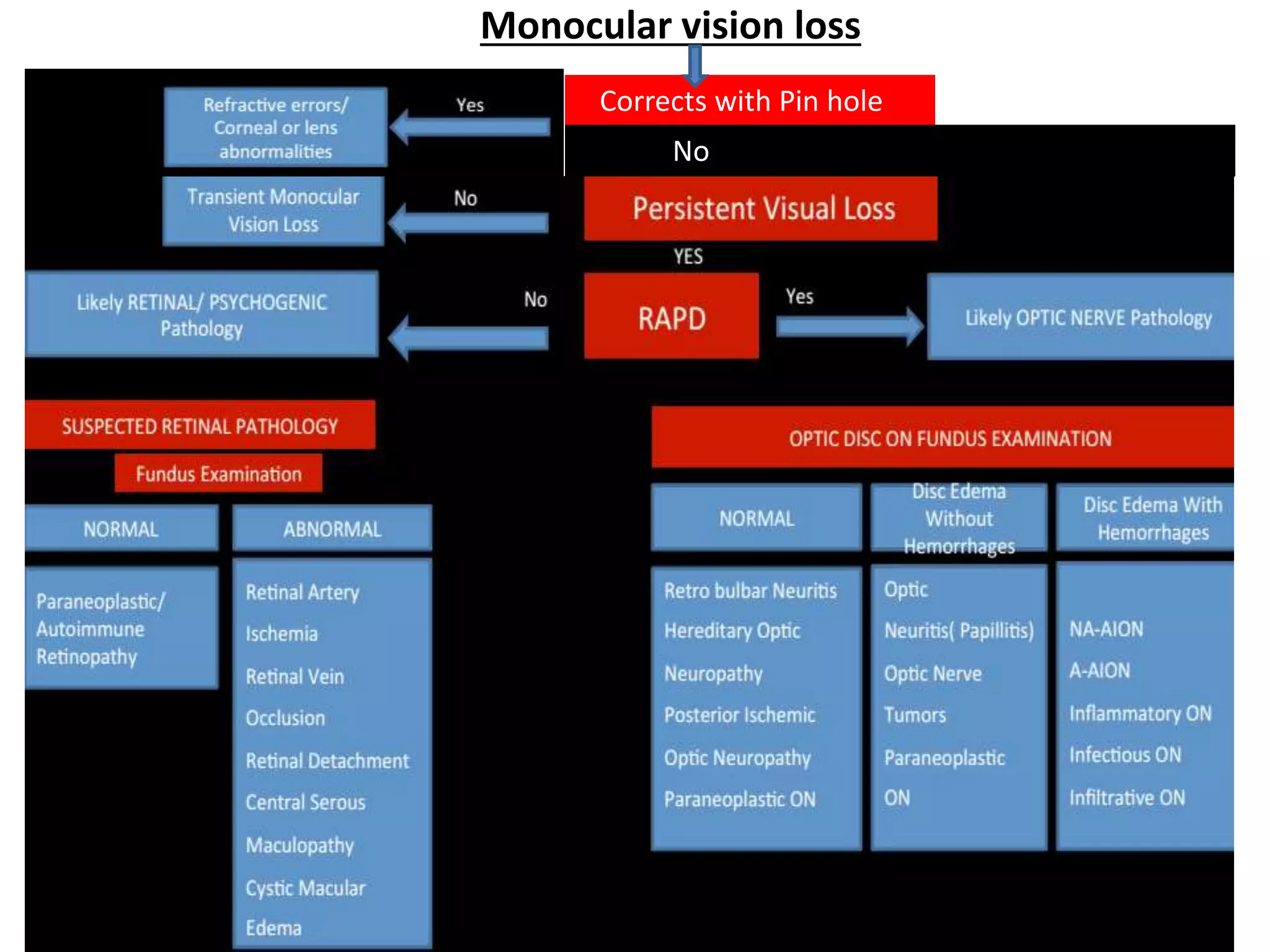 Approach to vision loss | PPTX