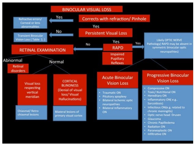 Approach to vision loss