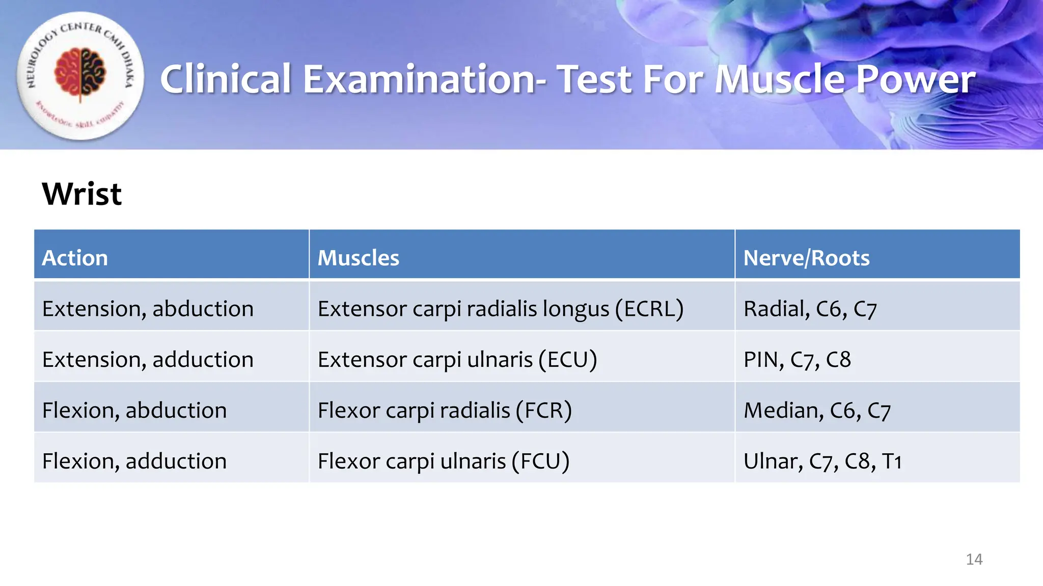 Approach to Wasted Hand (Neurology short case series).pptx