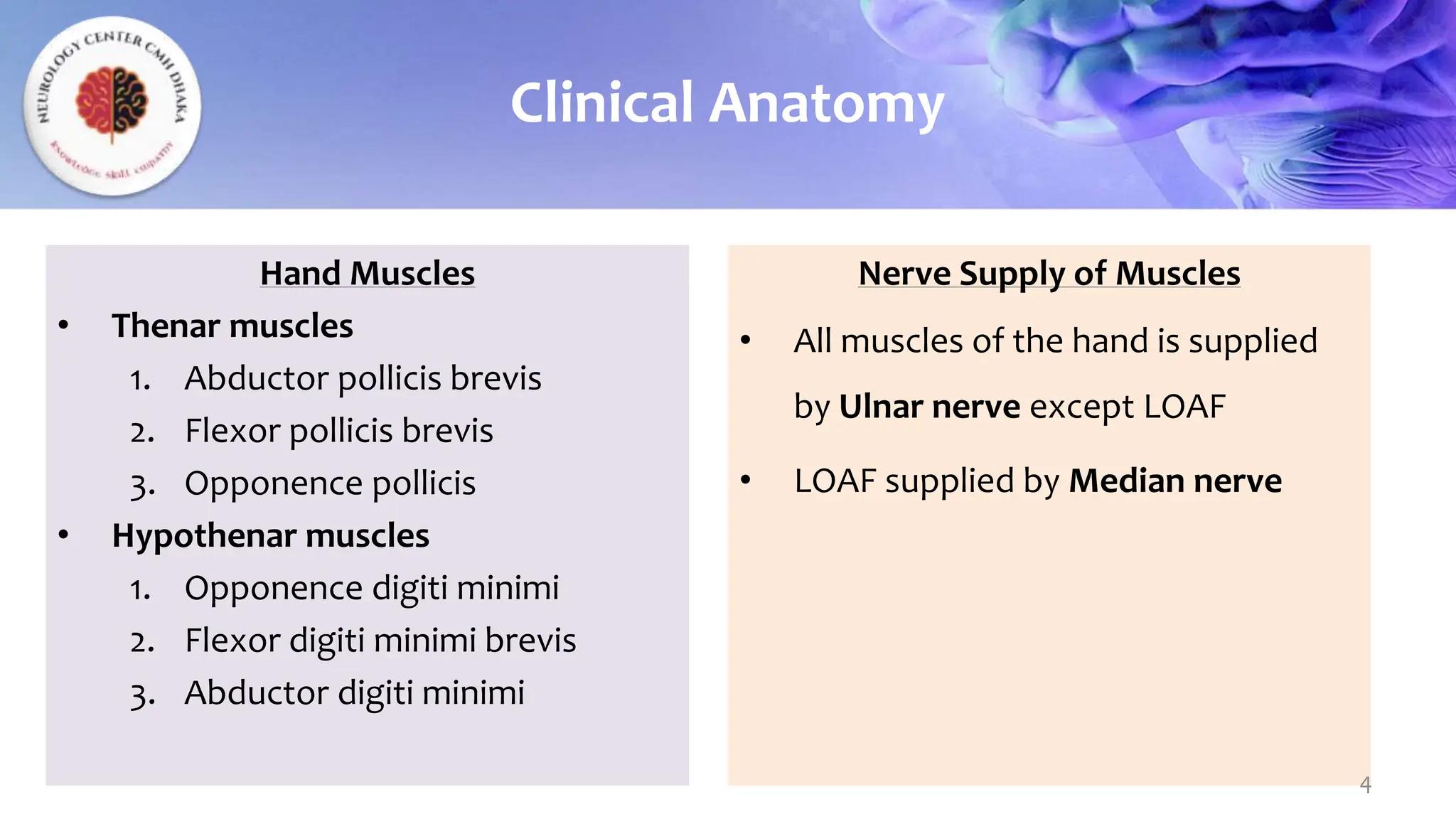 Approach to Wasted Hand (Neurology short case series).pptx