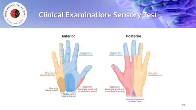 Approach to Wasted Hand (Neurology short case series).pptx
