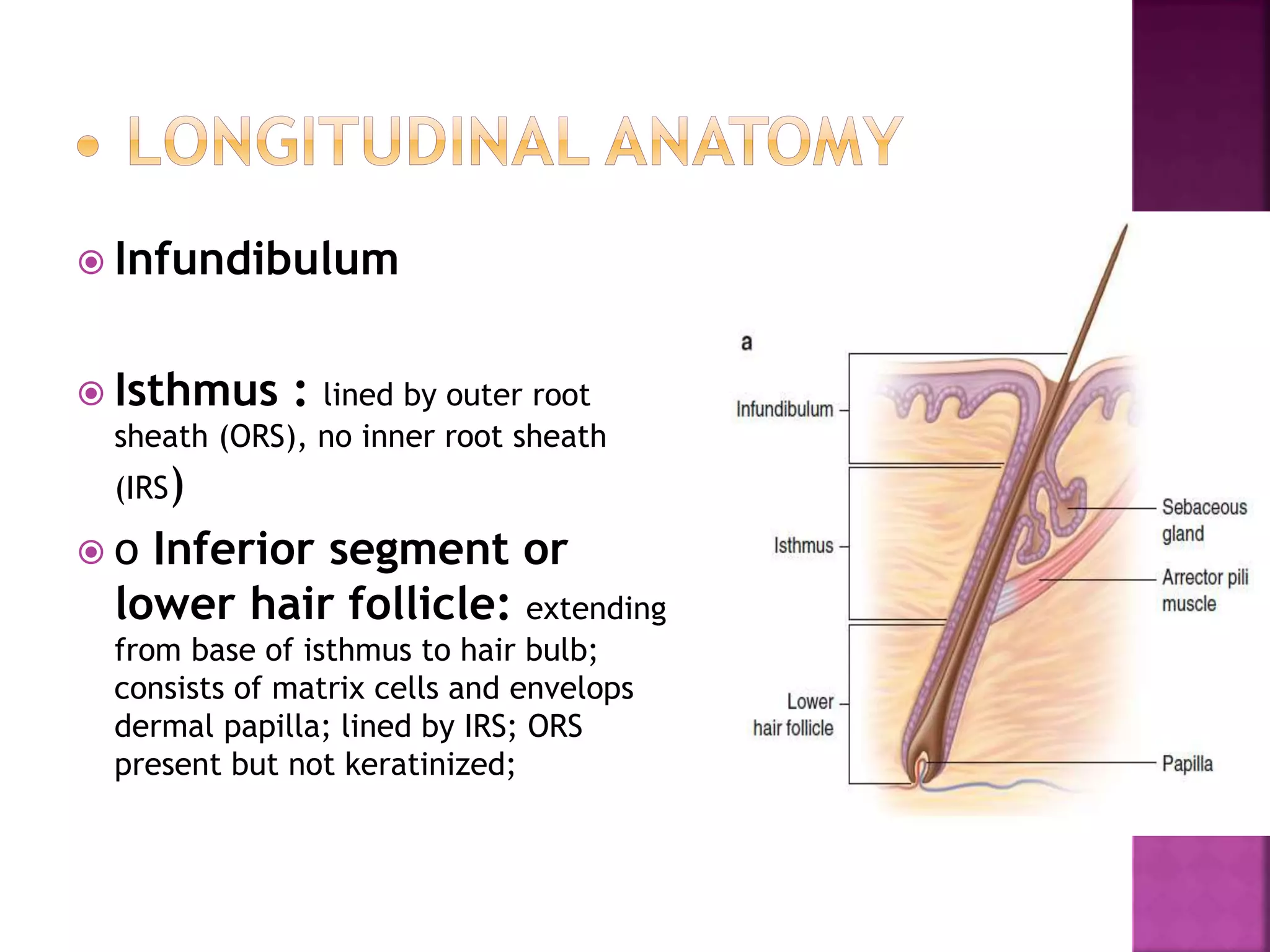 Approach to women with hair loss - Dr Aisha Almoosa | PPTX