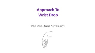 Approach to a Patient with Wrist Drop.pptx