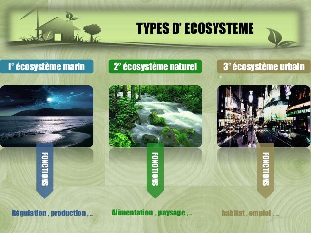 Approche écosystémique