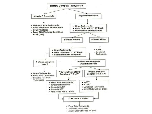 Approch narrow complex tachycardia | PPTX | Heart and Cardiovascular ...