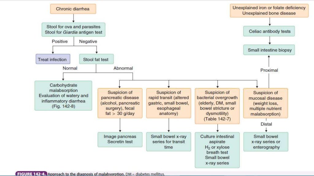 Approch to chronic diarrhea