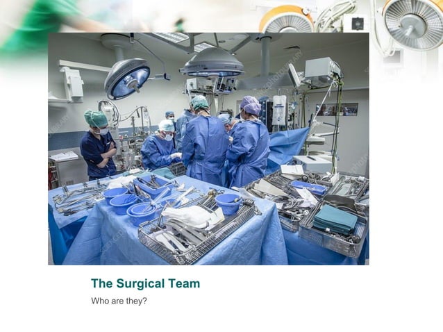 Appropriate-Operating-Room-Attire (1).pdf | Women\'s Clothing | Women ...