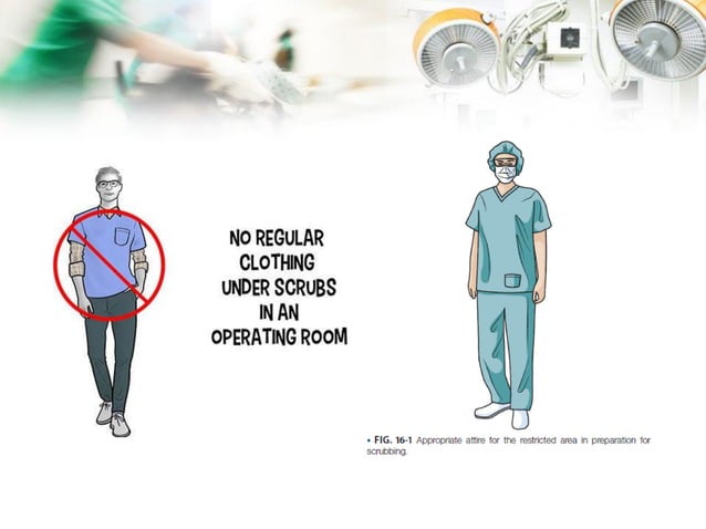 Appropriate-Operating-Room-Attire (1).pdf | Women\'s Clothing | Women ...
