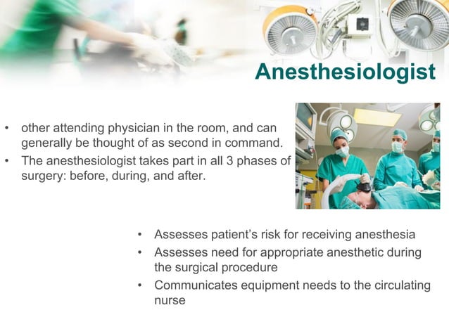 Appropriate-Operating-Room-Attire (1).pdf | Women\'s Clothing | Women ...