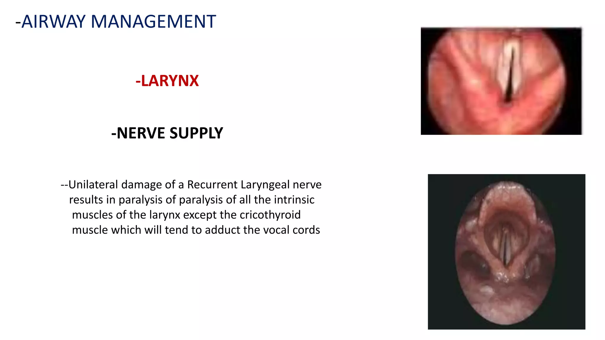Appropriate airway equipment and techniques. | PPT